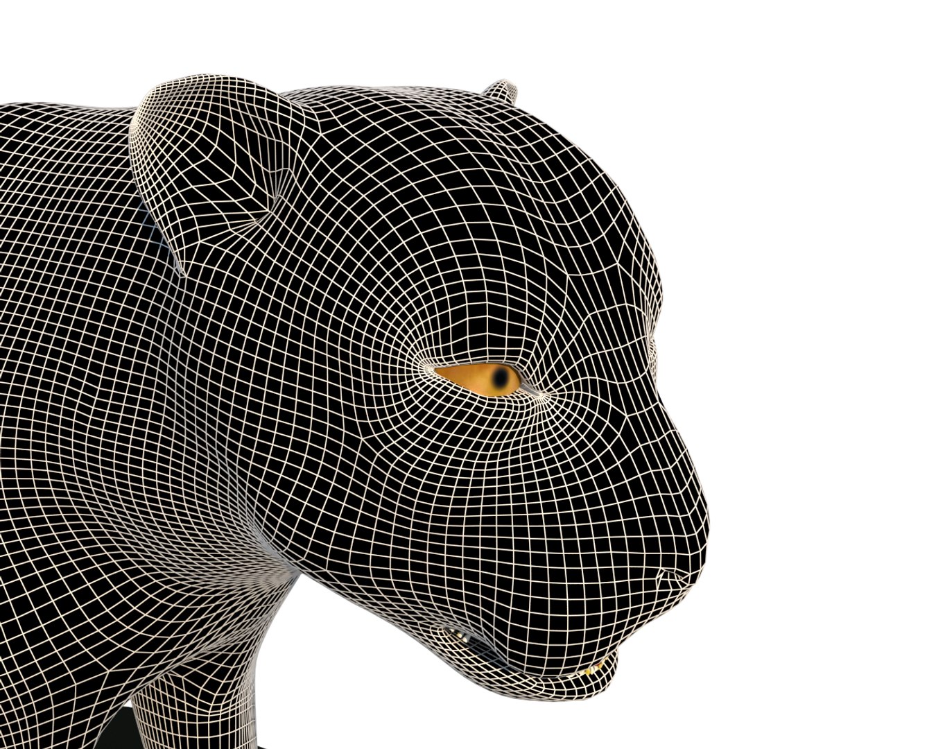 Tiger 3D Model - TurboSquid 1485803