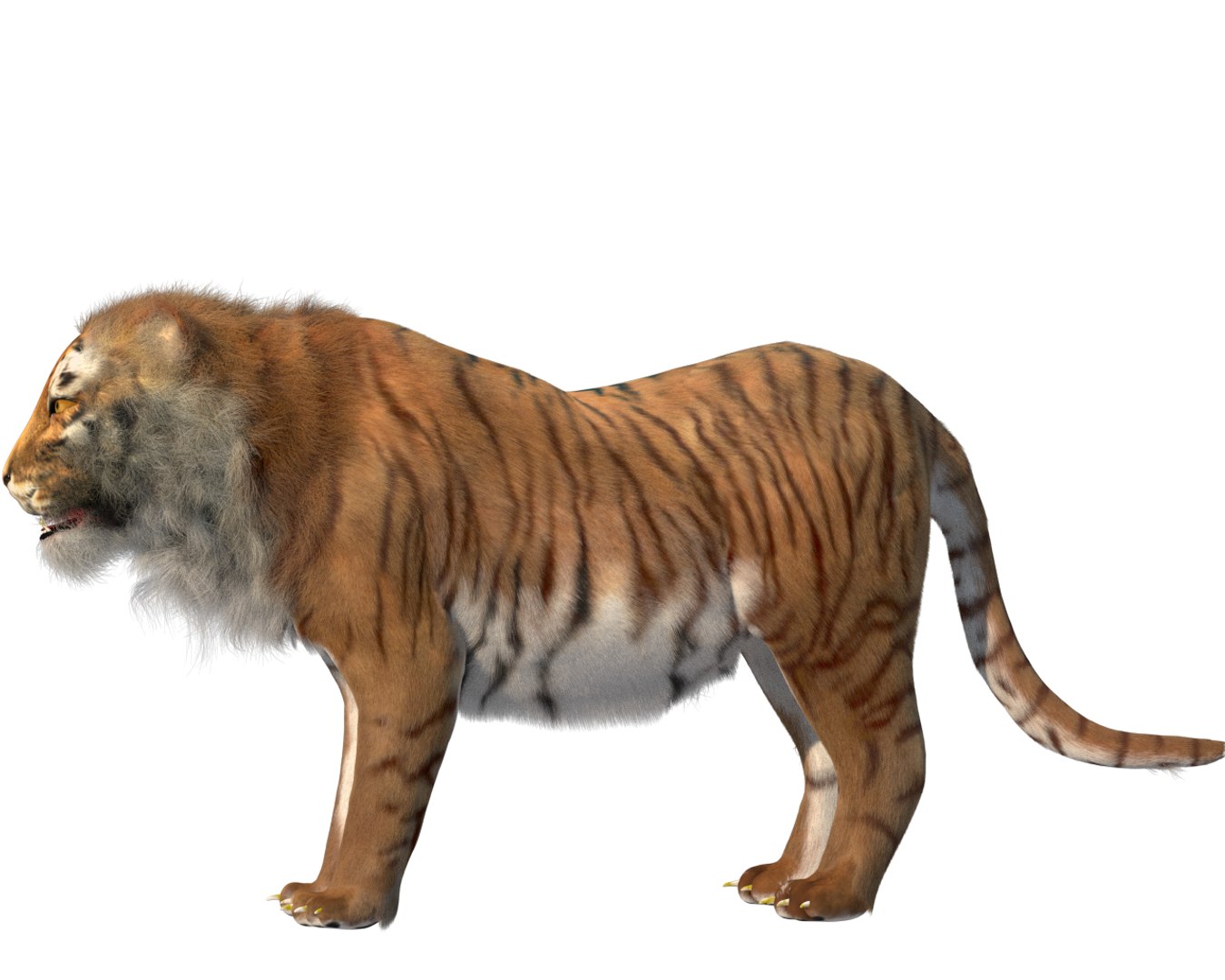 Tiger 3D Model - TurboSquid 1485803