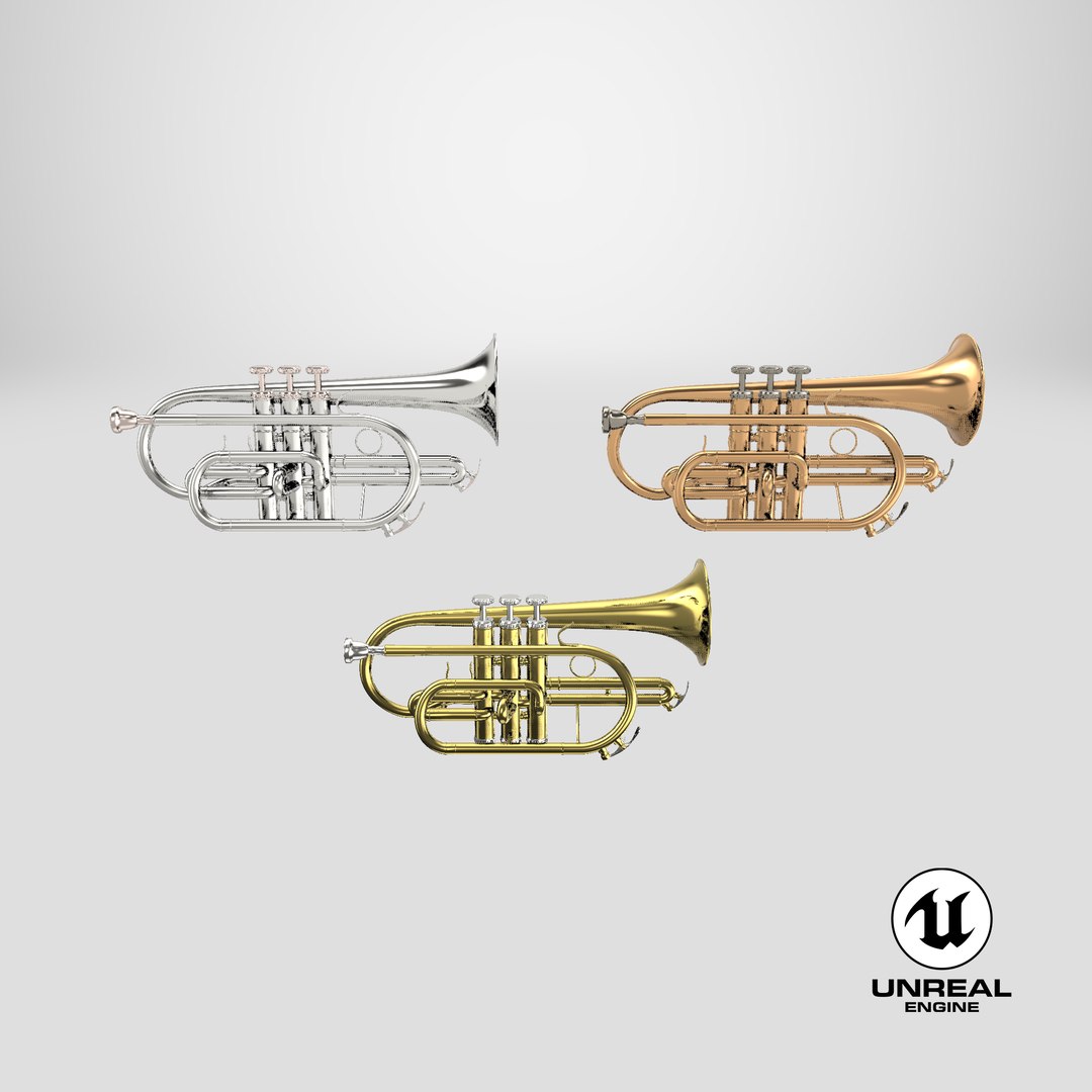 Cornet Three Types Of Materials Brass Copper And Silver 3D - TurboSquid ...