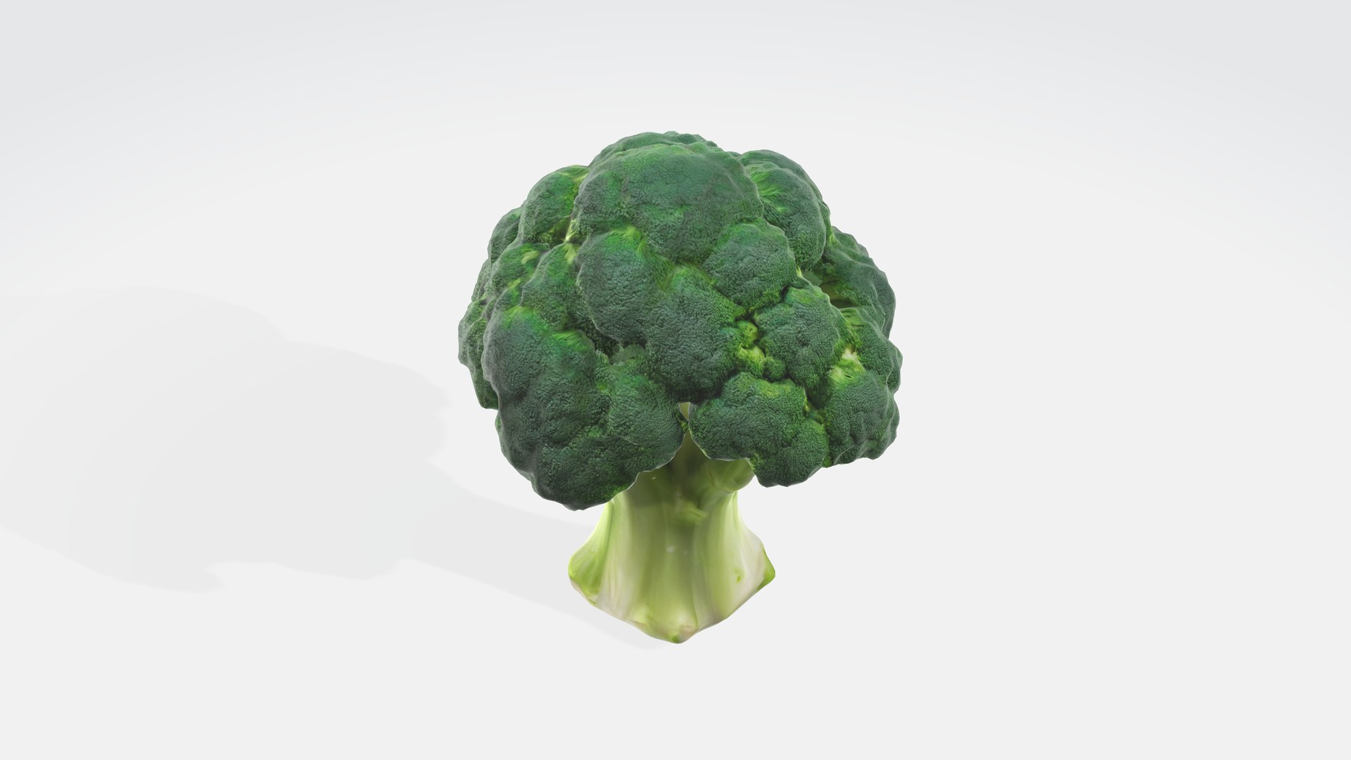 3D Broccoli Model - TurboSquid 2281510