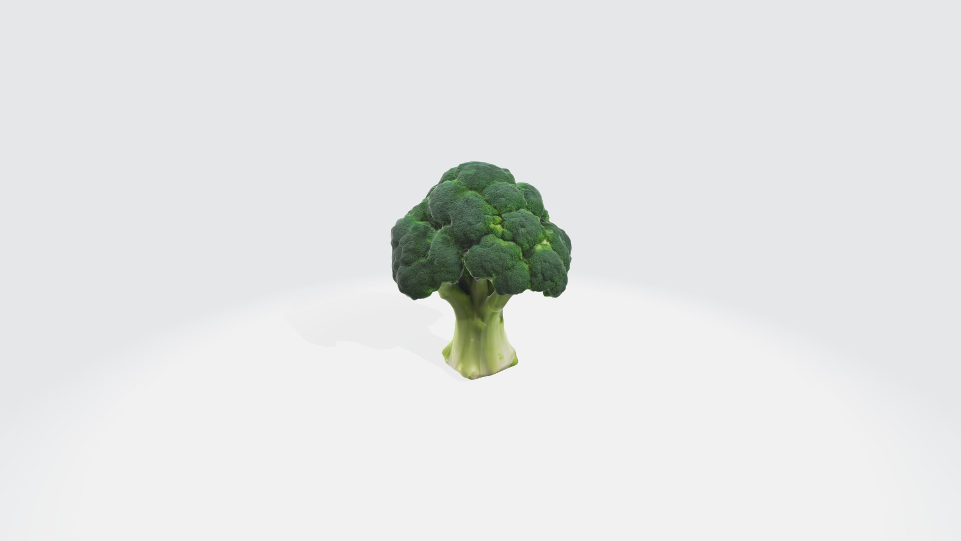 3D Broccoli Model - TurboSquid 2281510