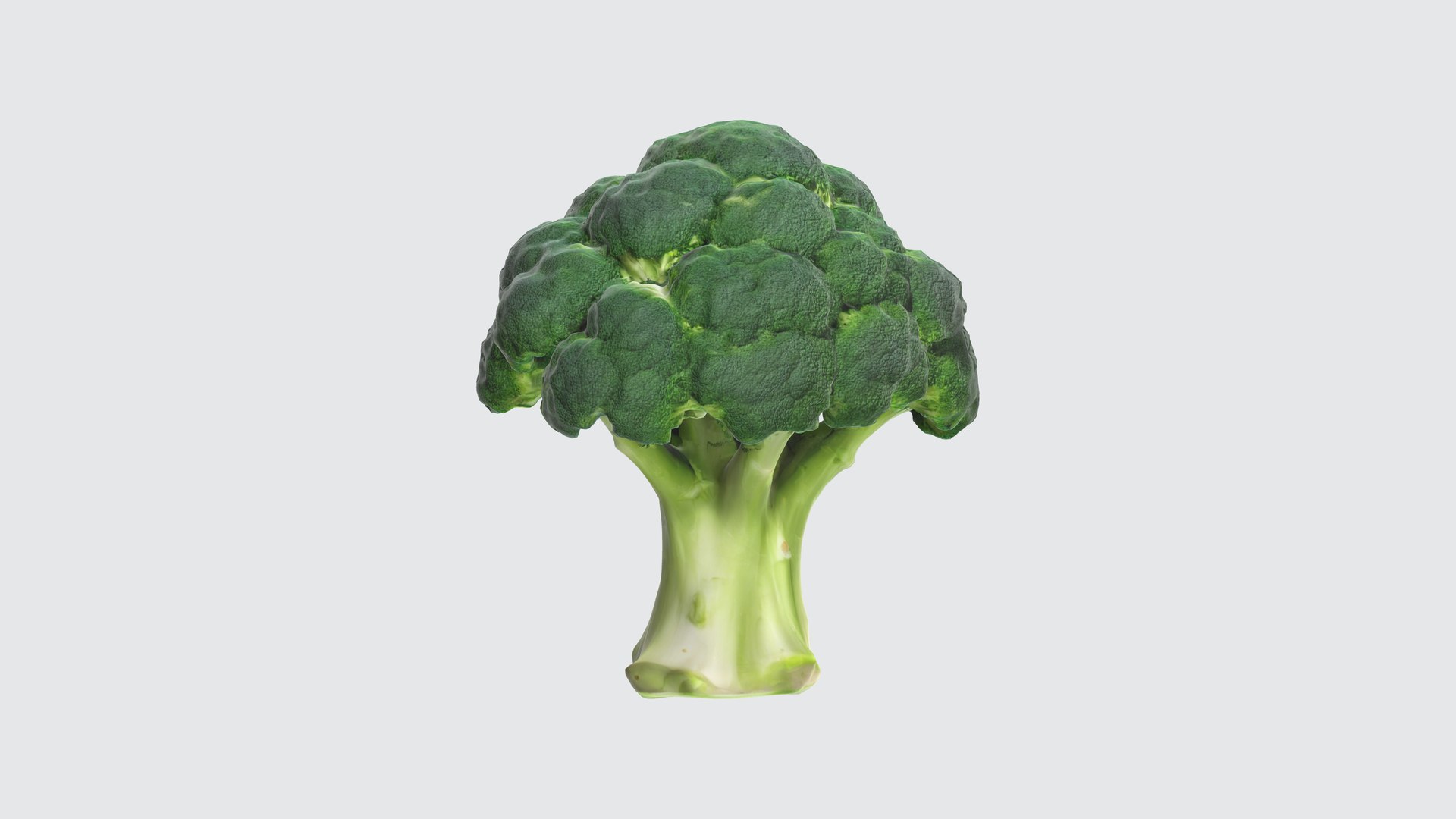 3D Broccoli Model - TurboSquid 2281510