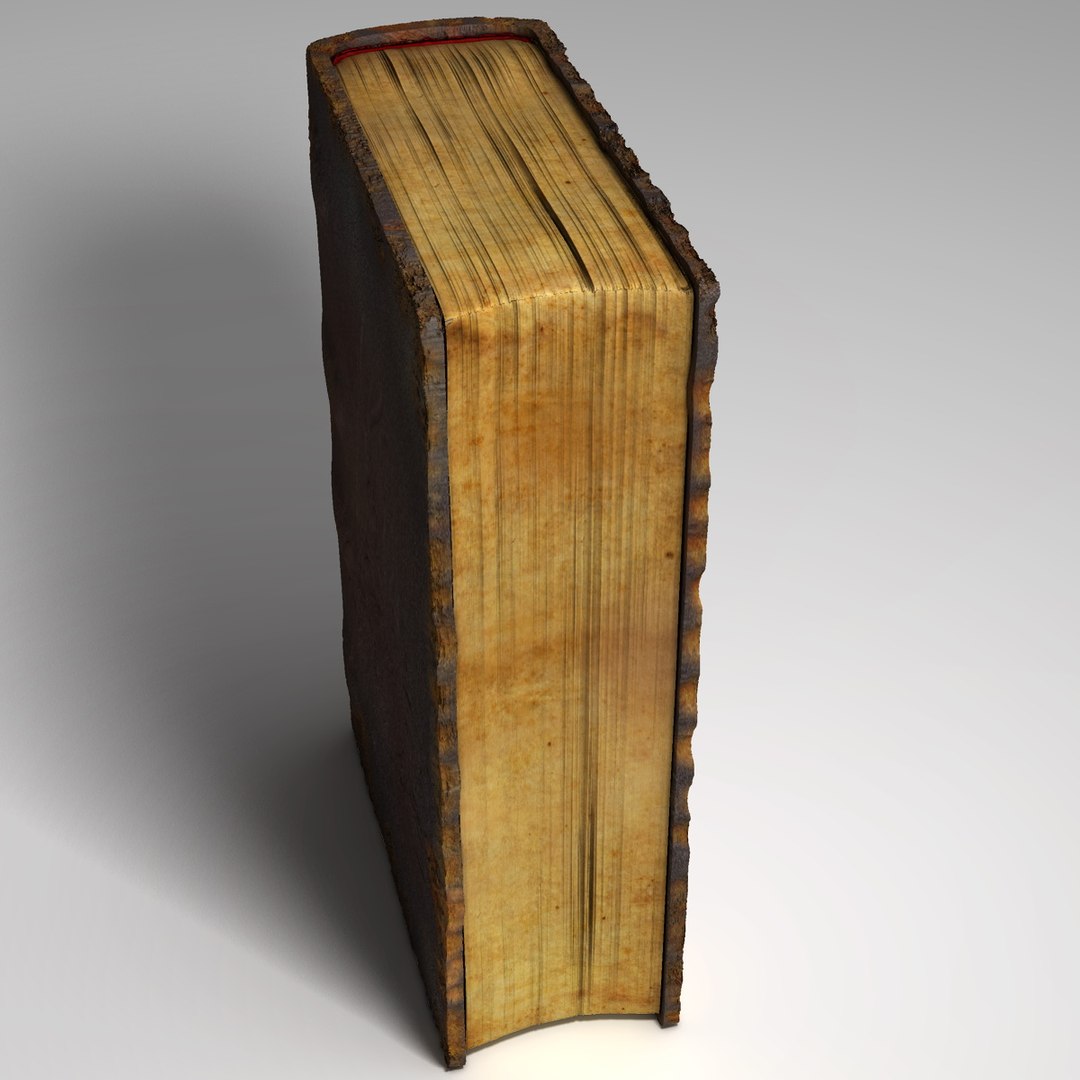 Rotten Book 3d Obj