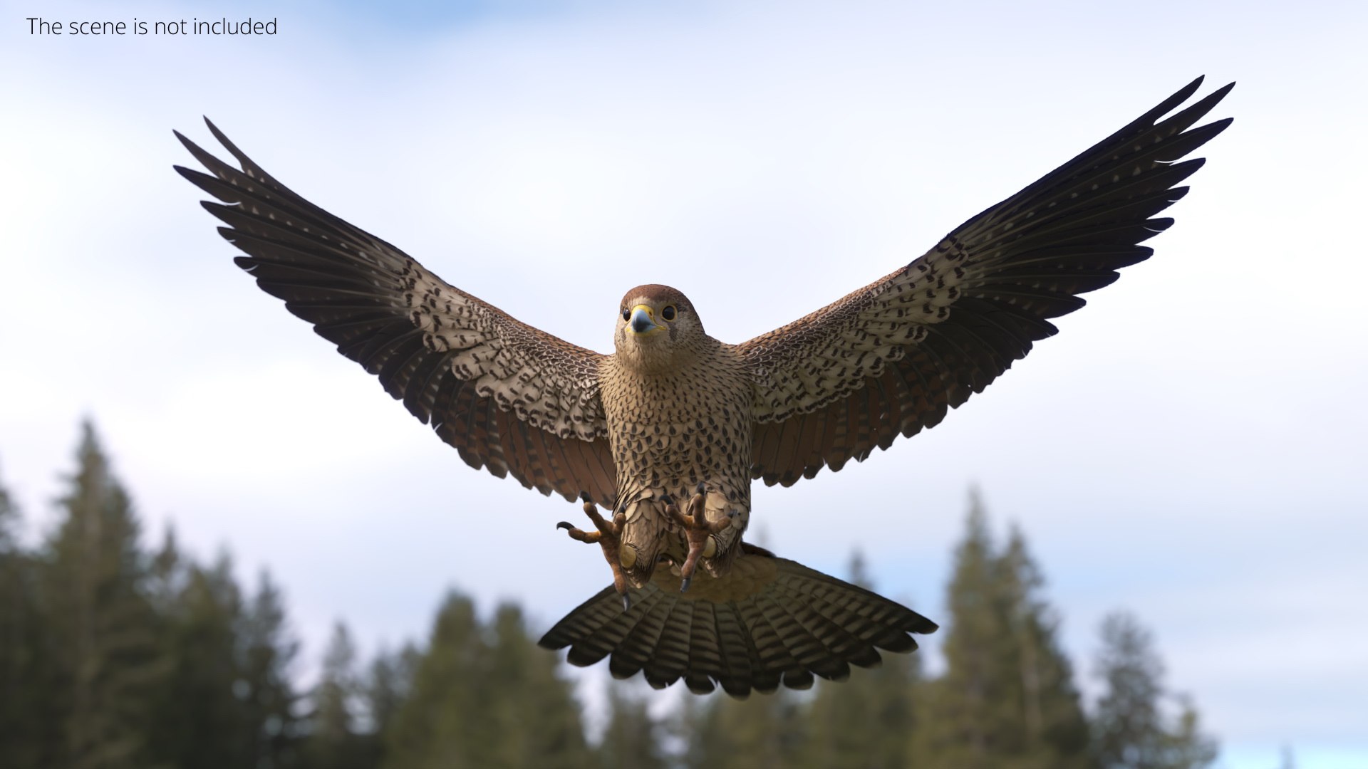 3D Model Falcon Bird Attack Pose Brown - TurboSquid 2509356