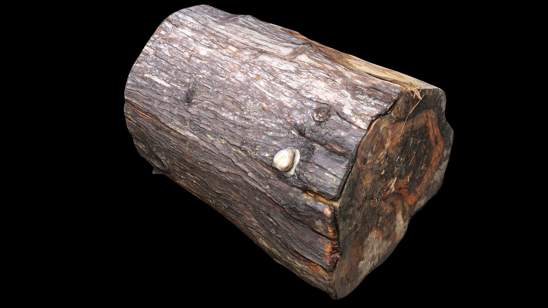 Wet Tree Trunk Stump 3D Model - TurboSquid 1572151