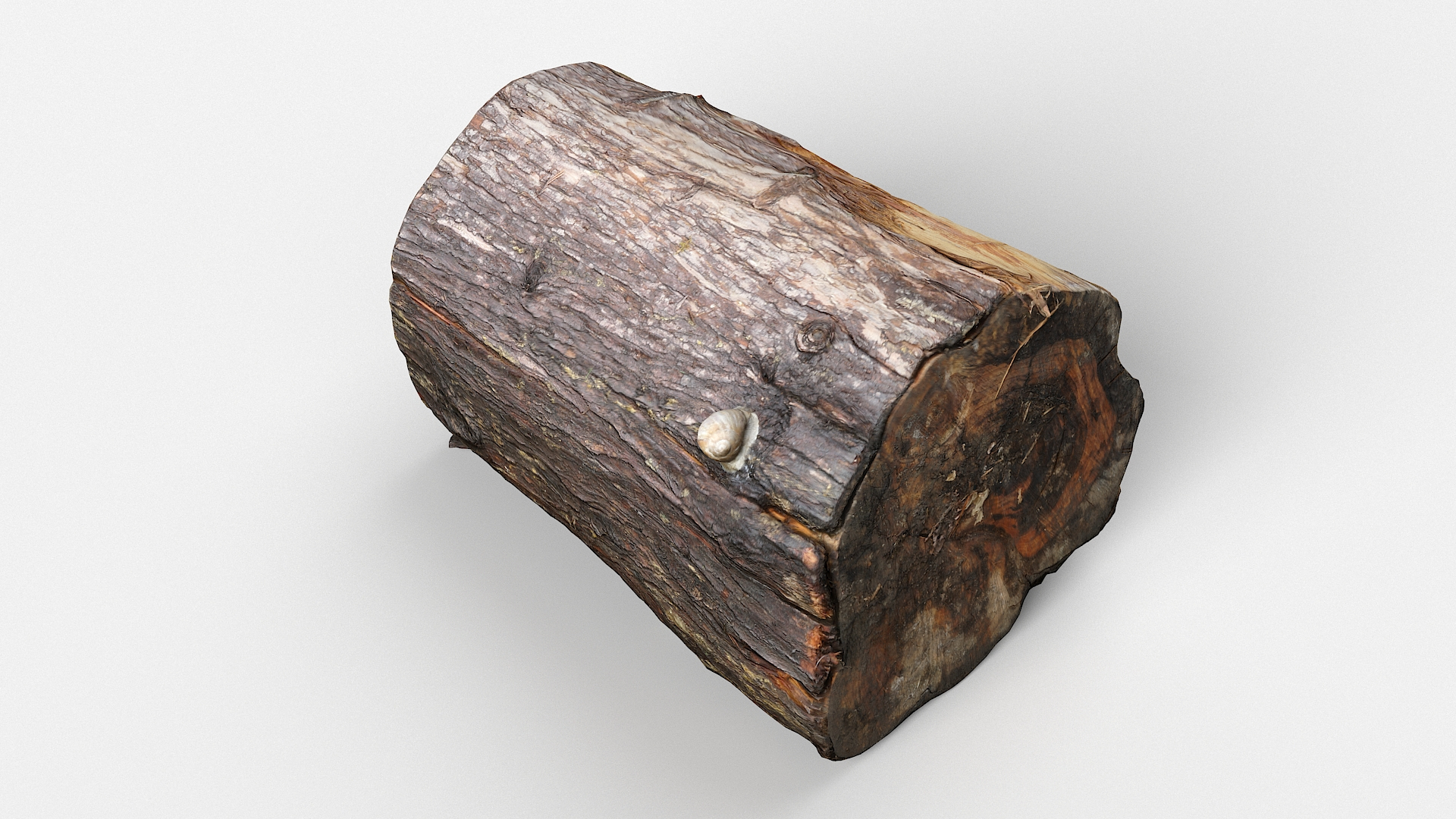 Wet Tree Trunk Stump 3D Model - TurboSquid 1572151