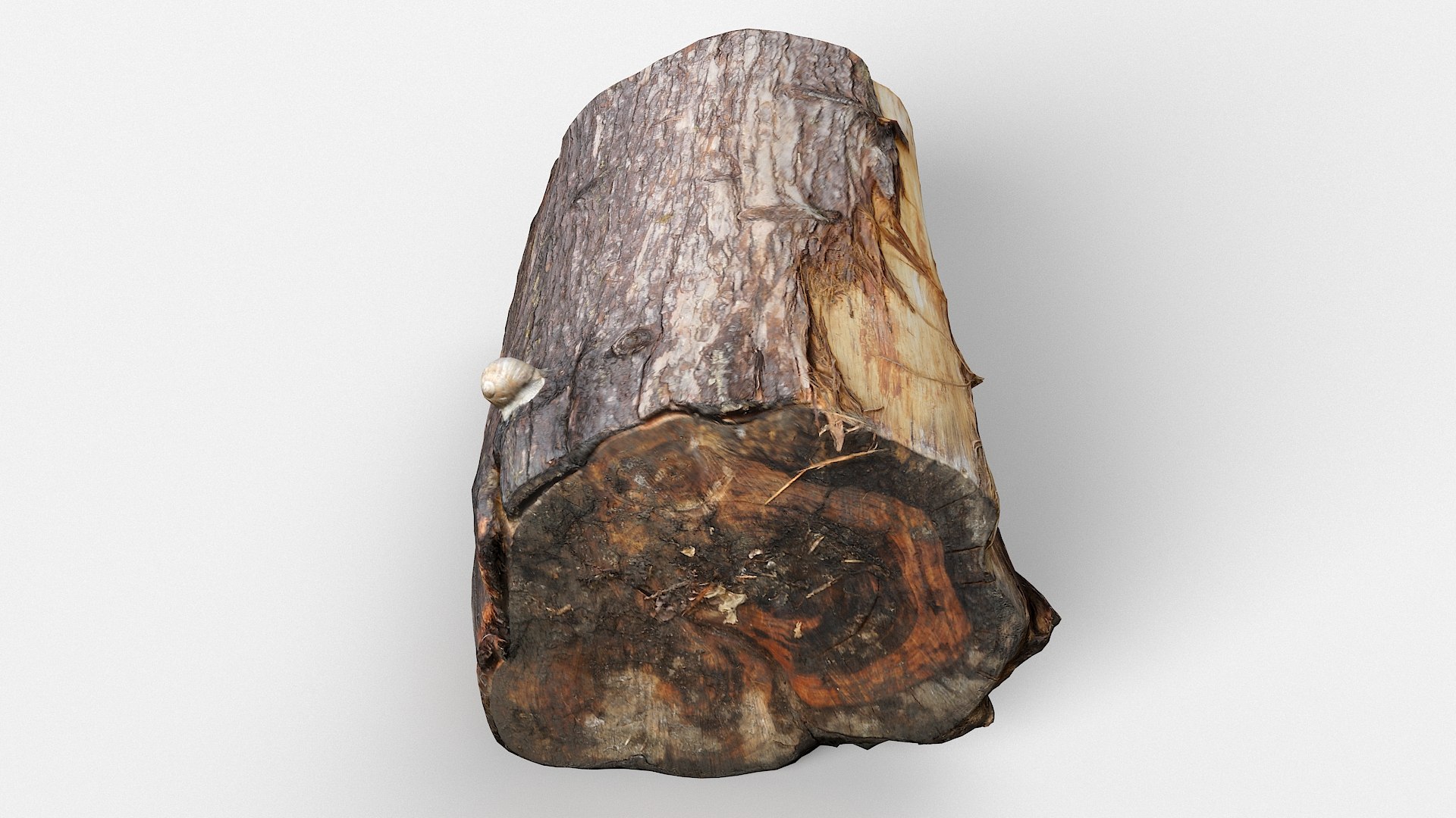 Wet Tree Trunk Stump 3D Model - TurboSquid 1572151
