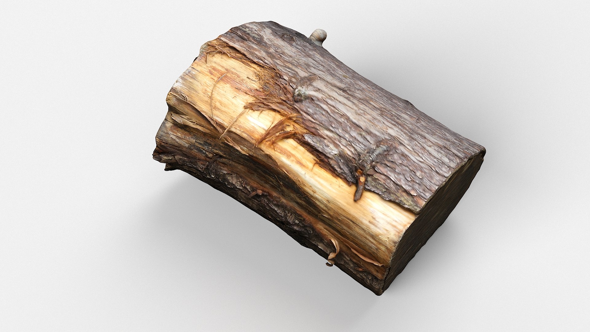 Wet Tree Trunk Stump 3D Model - TurboSquid 1572151