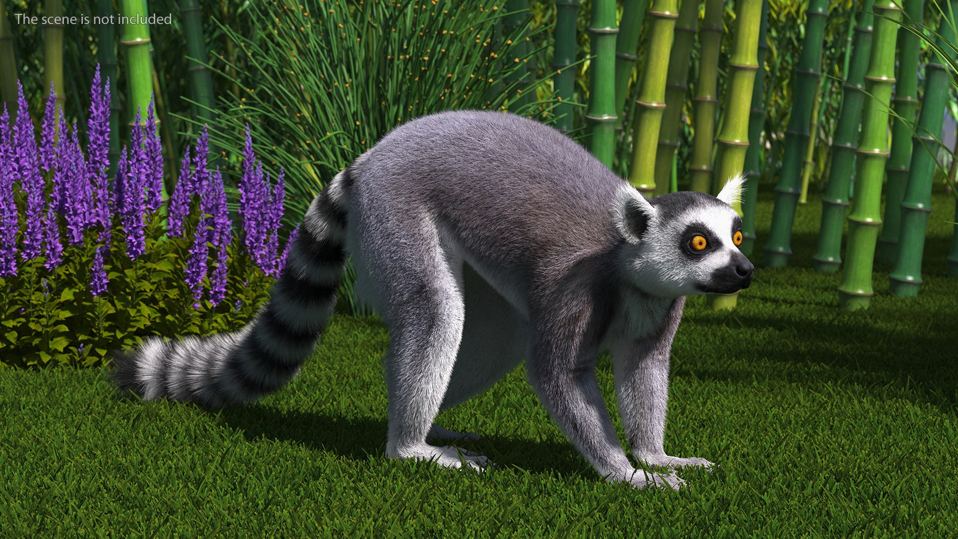 3D Grey Lemur Walking Fur - TurboSquid 2192776
