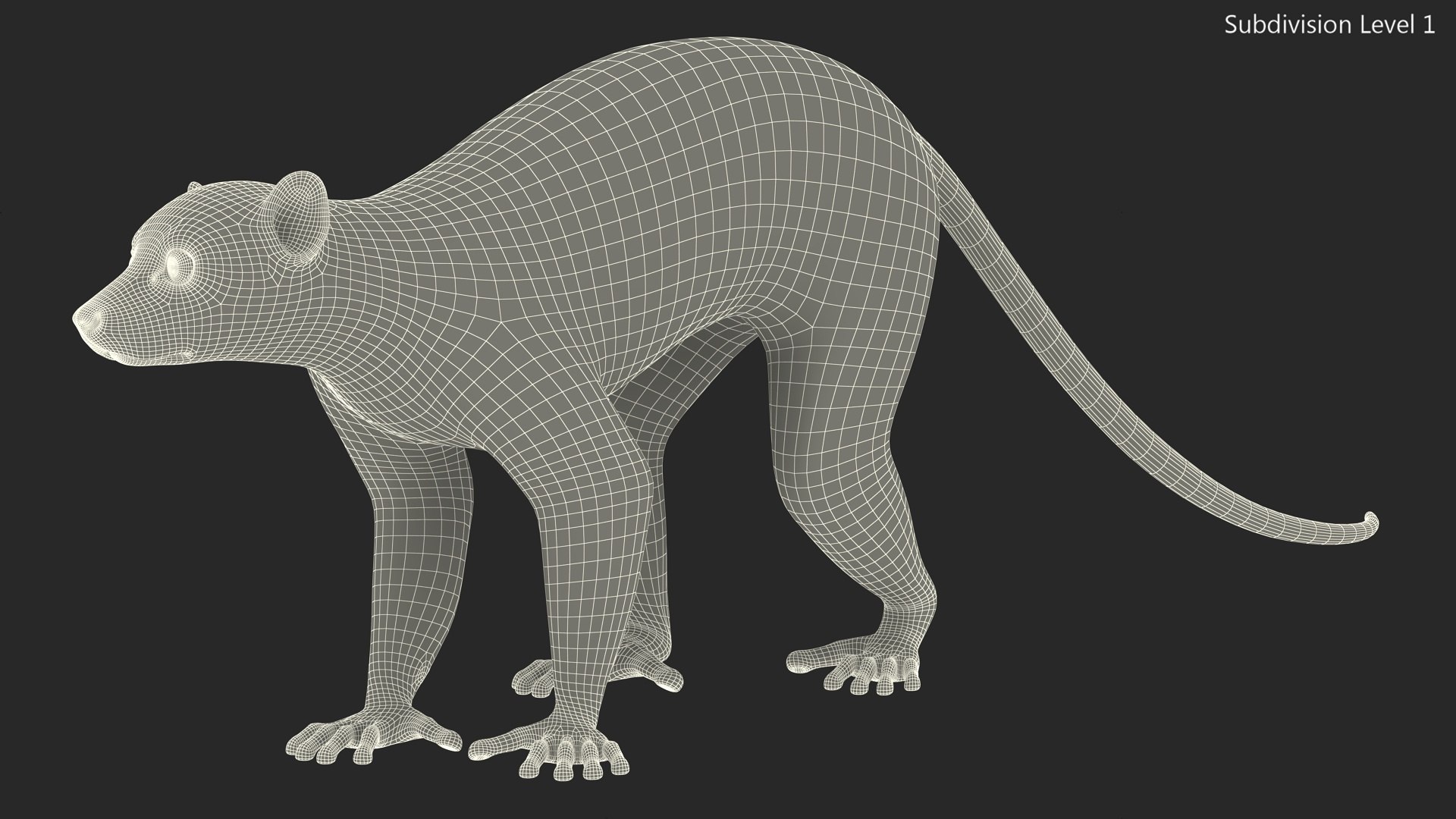 3D Grey Lemur Walking Fur - TurboSquid 2192776