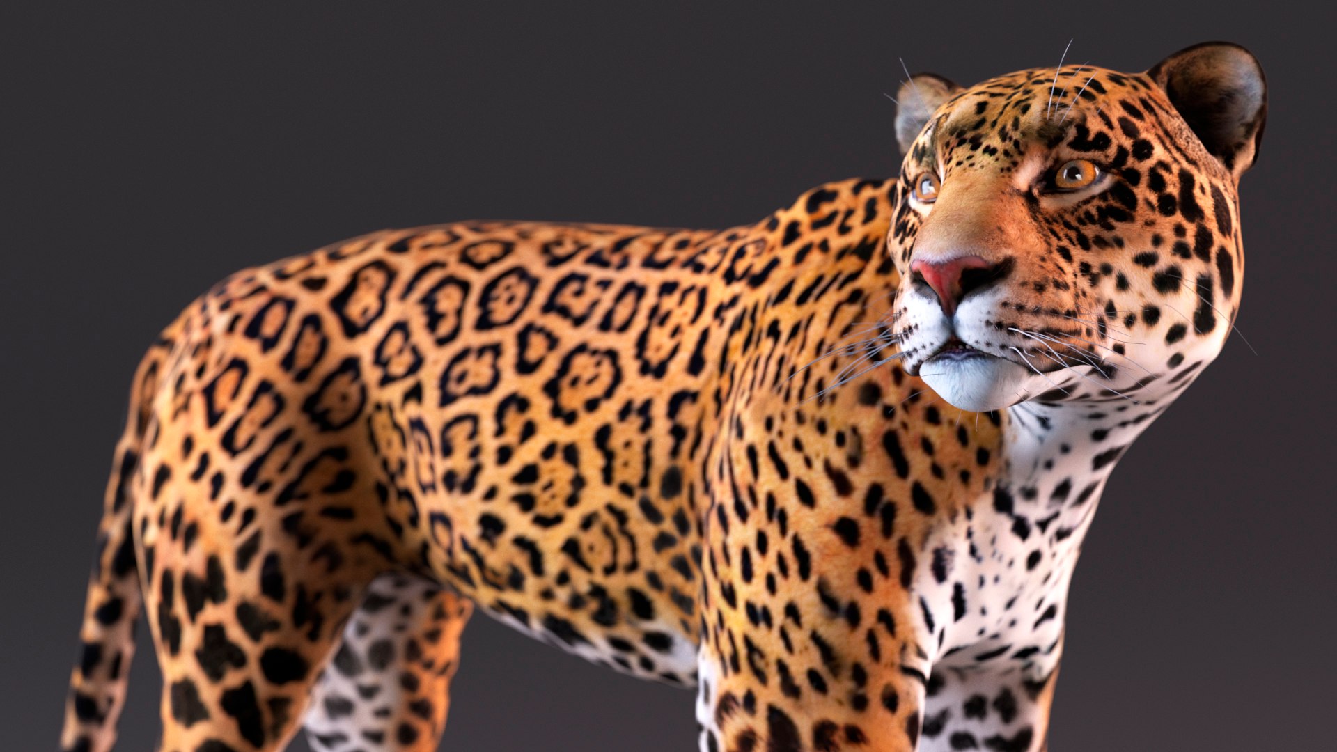 Jaguar Stand Pose 3D - TurboSquid 2217927