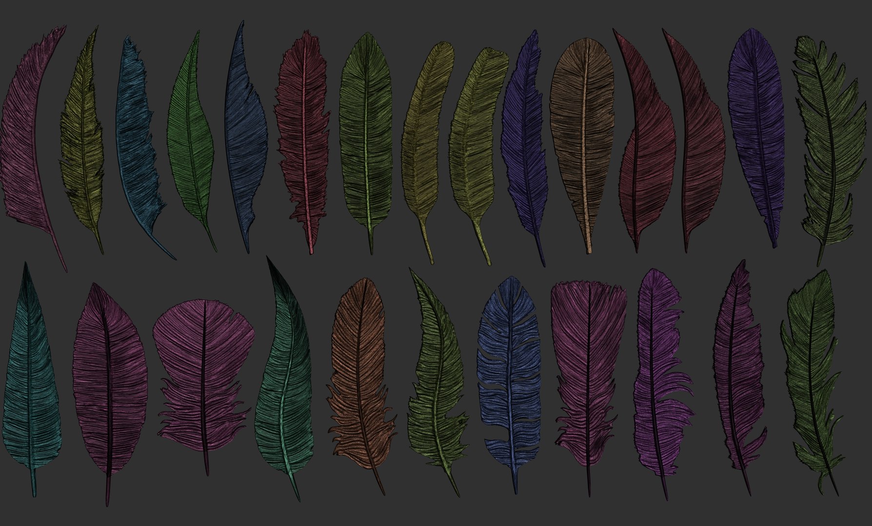 Feathers 3D - TurboSquid 1880908