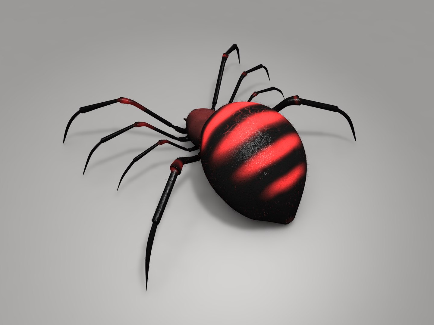 Red Spider 3d Model