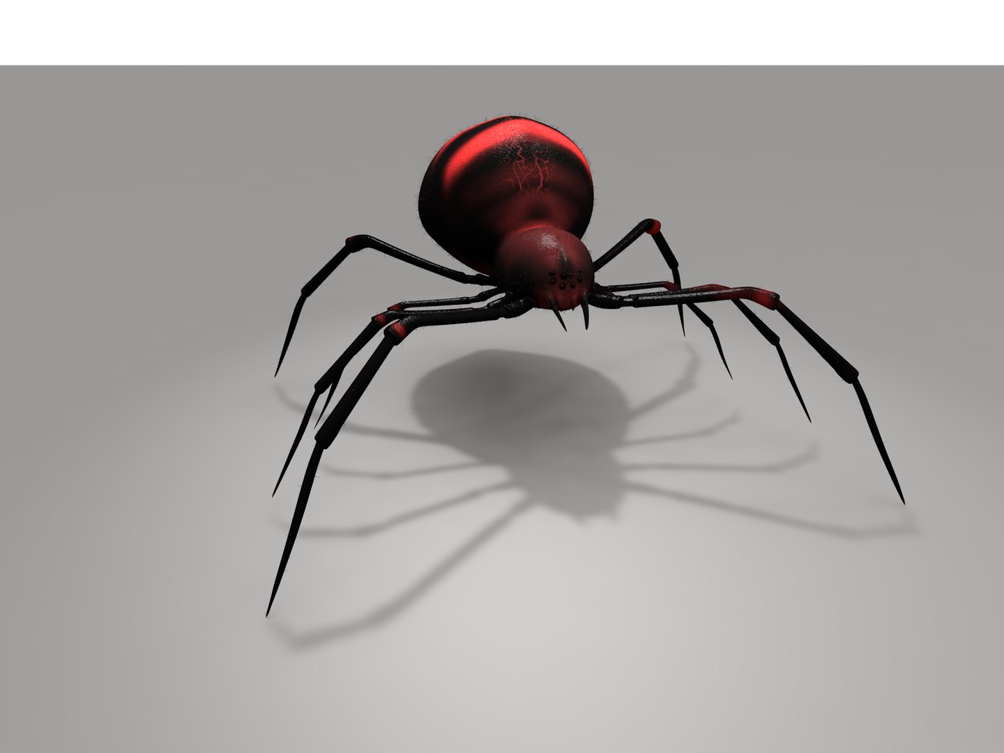 Red Spider 3d Model