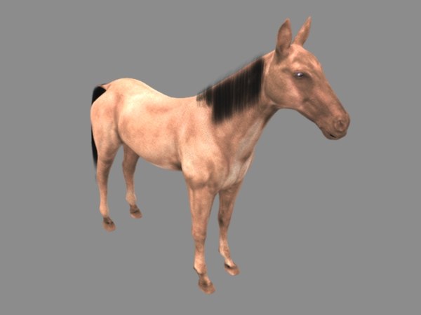 Animal teeth 3D model - TurboSquid 1391697