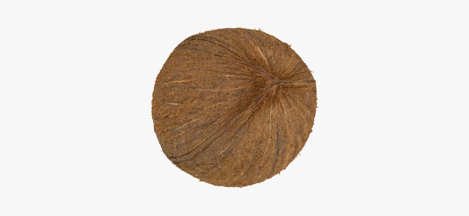 3D Coconut 04 Raw Scan Model - TurboSquid 1654367