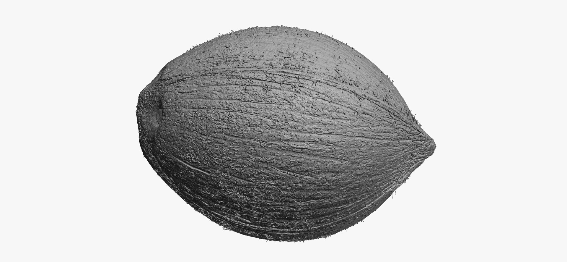 3D Coconut 04 Raw Scan Model - TurboSquid 1654367
