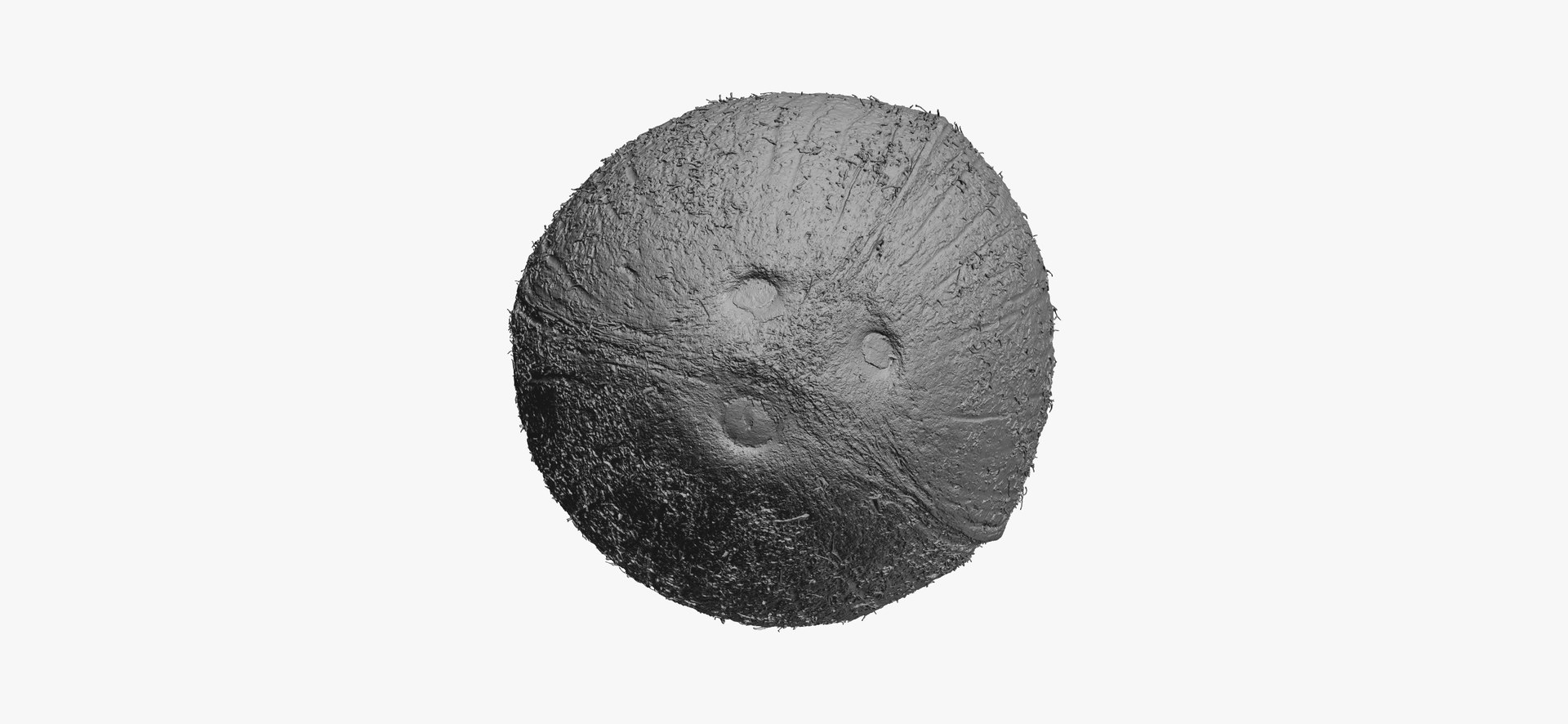 3D Coconut 04 Raw Scan Model - TurboSquid 1654367