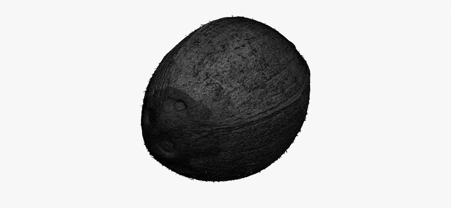 3D Coconut 04 Raw Scan Model - TurboSquid 1654367
