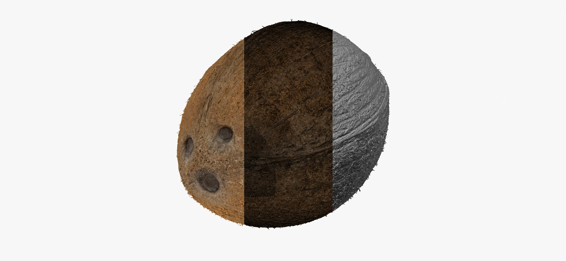 3D Coconut 04 Raw Scan Model - TurboSquid 1654367