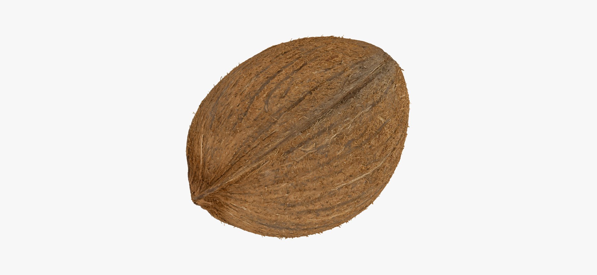 3D Coconut 04 Raw Scan Model - TurboSquid 1654367