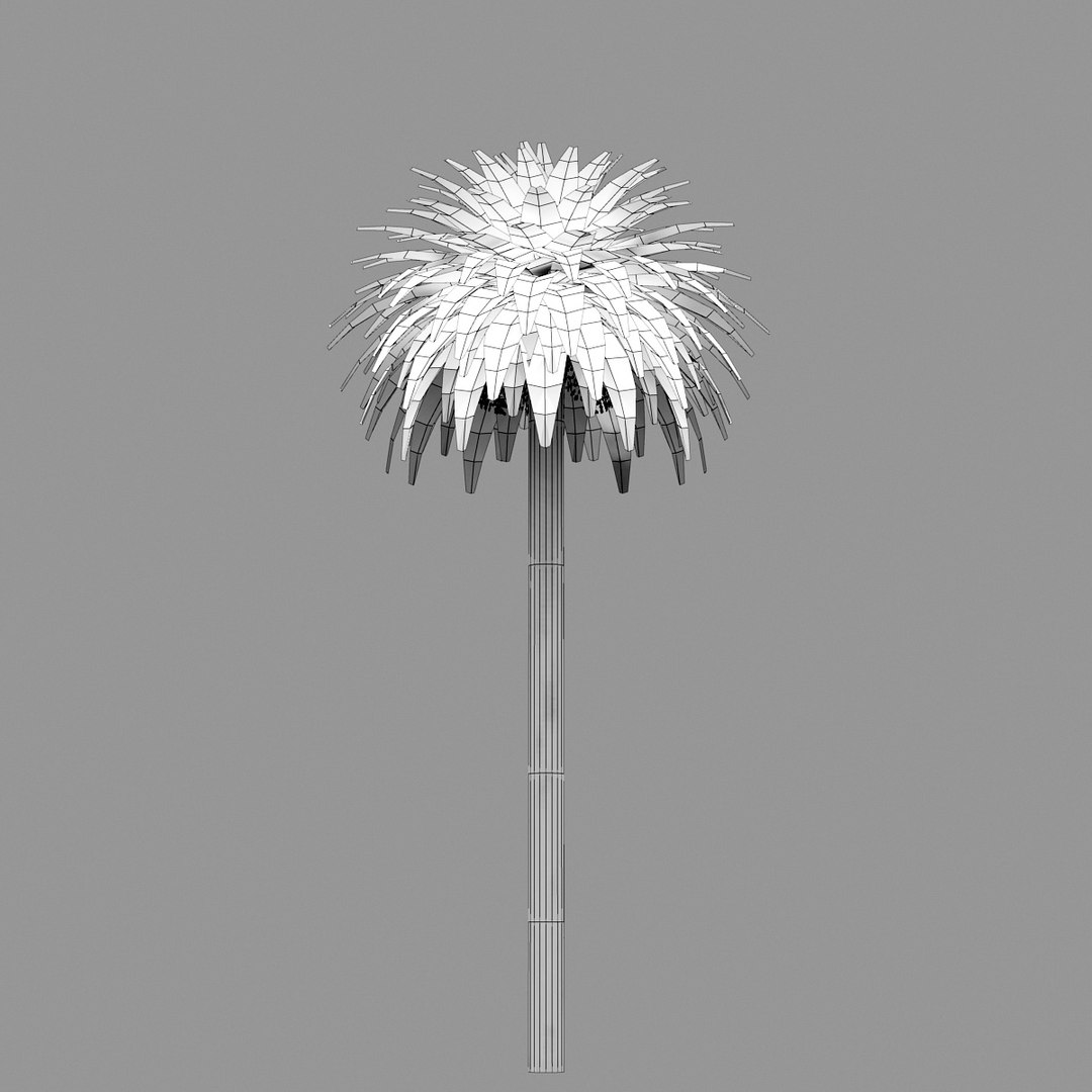 Date Palm Tree 3d Model