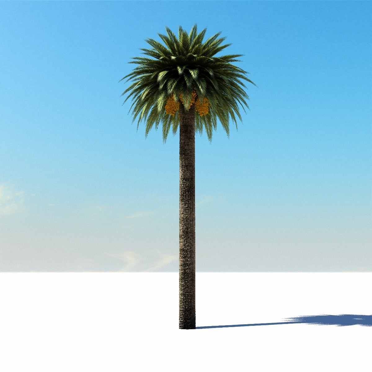 date palm tree 3d model