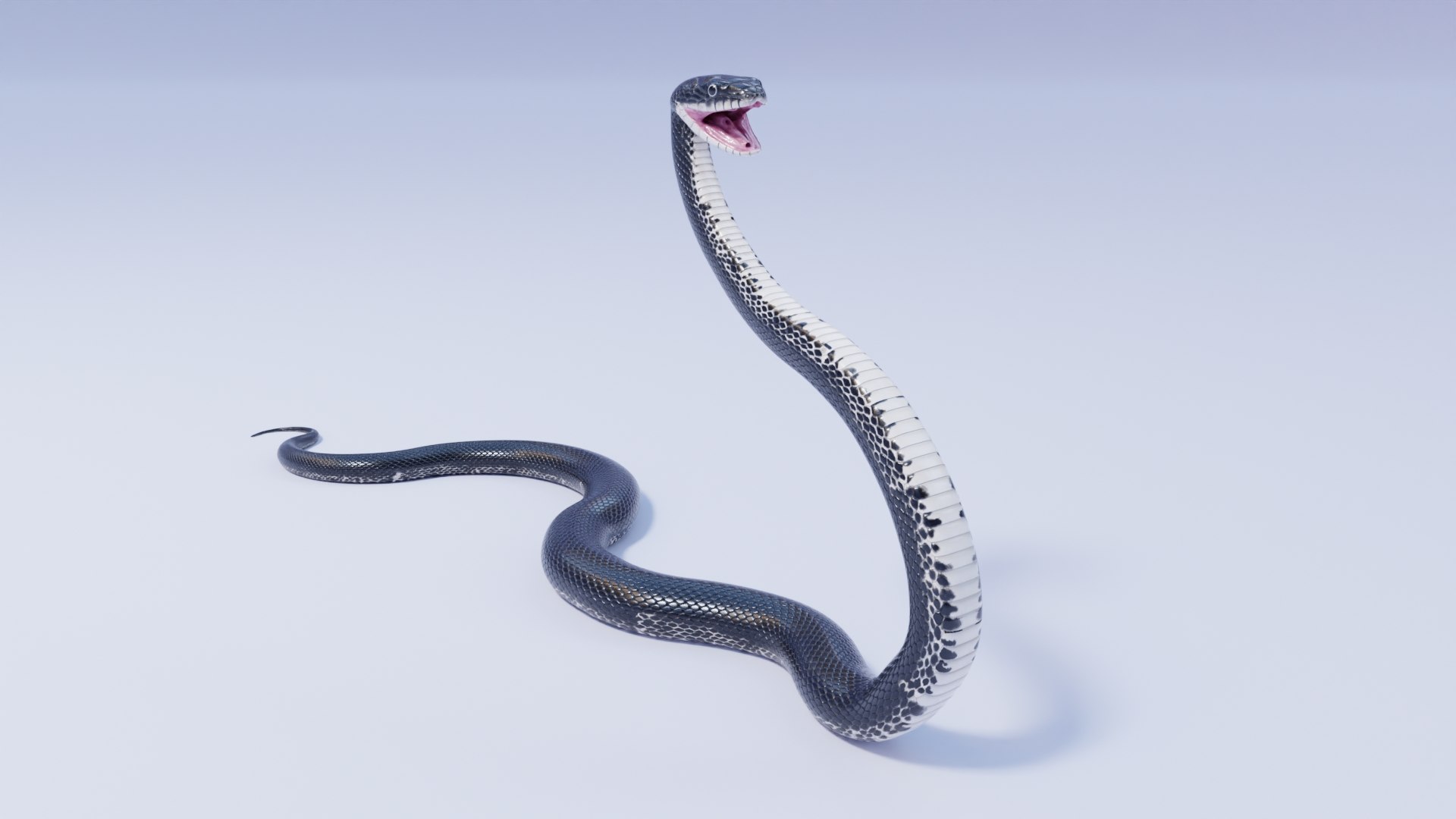Rigged Black Rat Snake 3D Model - TurboSquid 1952243