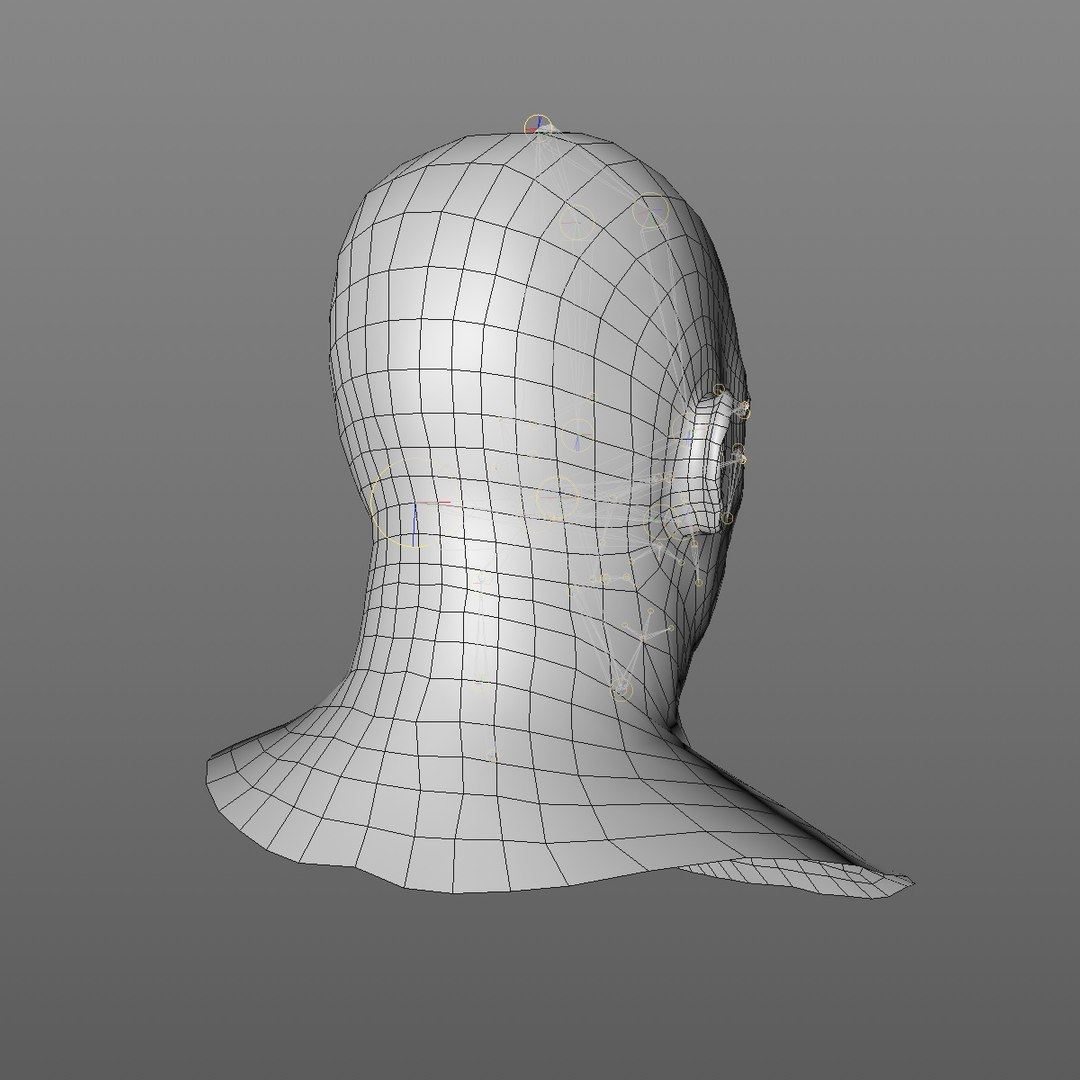 Realistic head base mesh model - TurboSquid 1438860