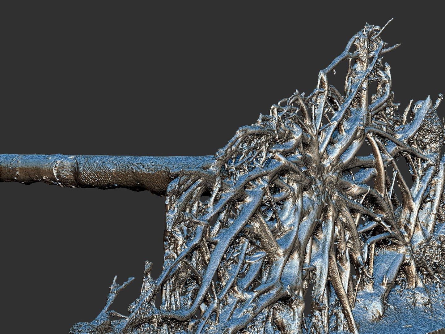 3D tree roots hd 16k - TurboSquid 1173304