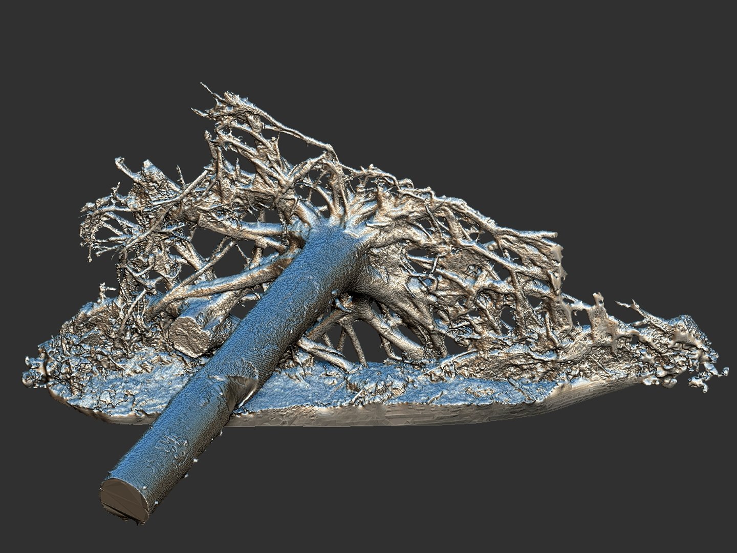 3D tree roots hd 16k - TurboSquid 1173304