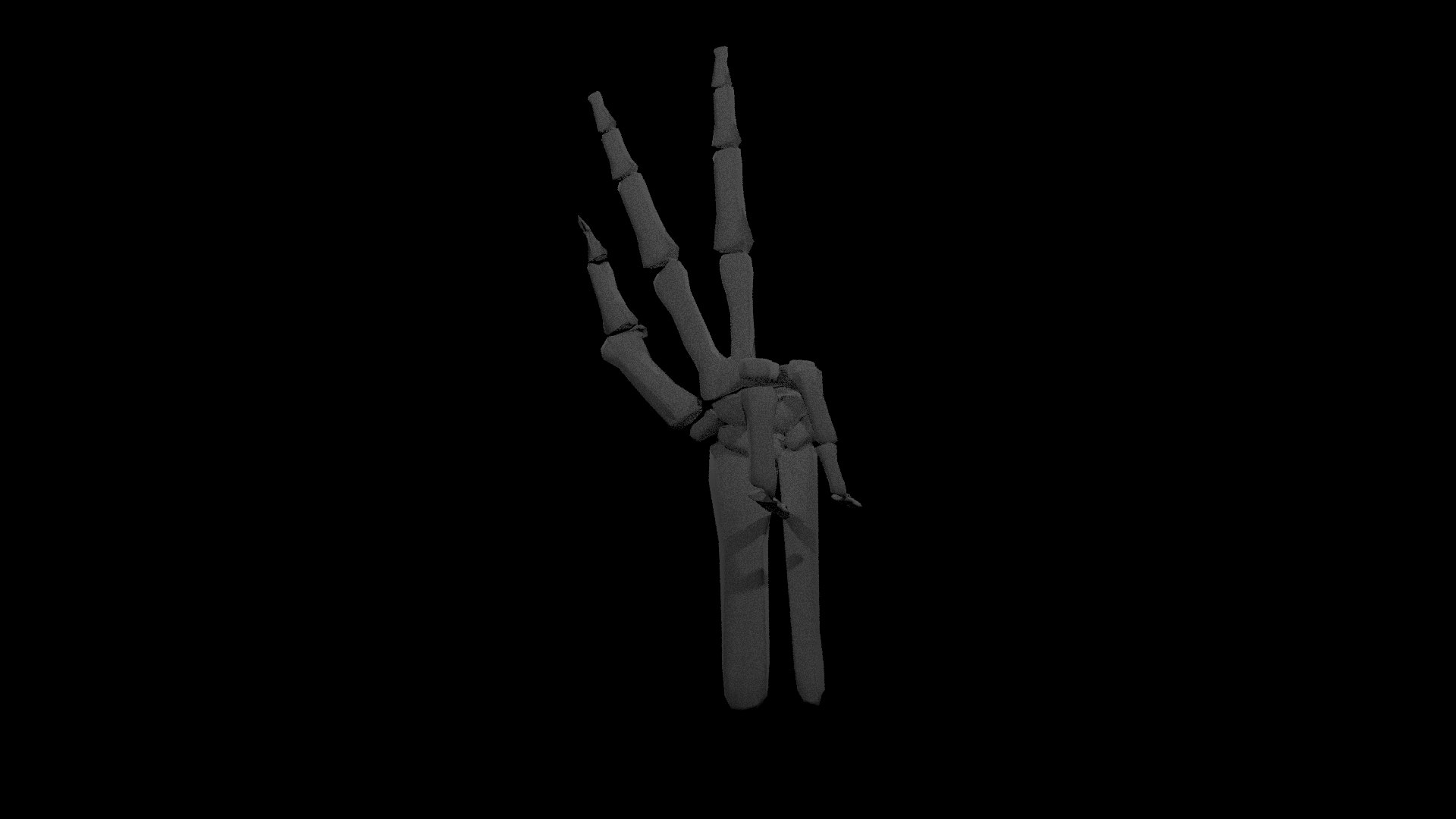Skeleton Hand 3d Model