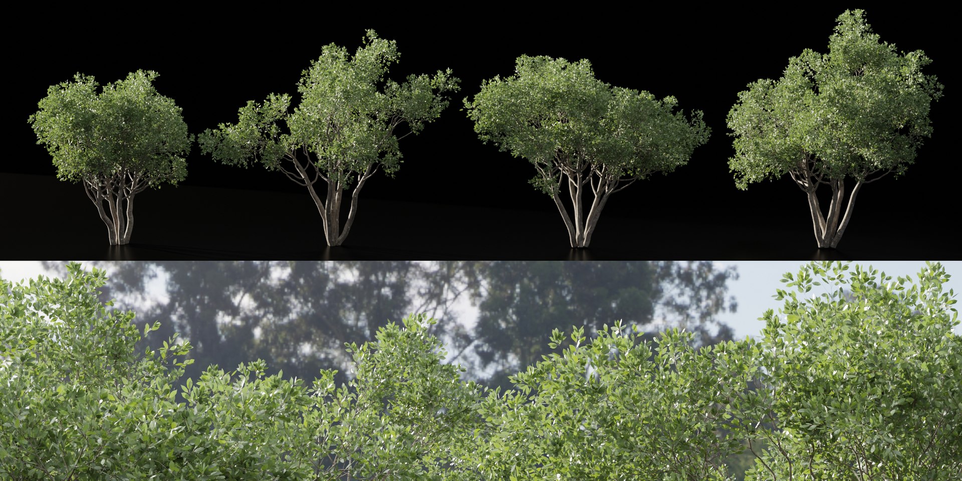 3D Model Shrubs Collection Vol 241-Blender-3dmodel - TurboSquid 2214263