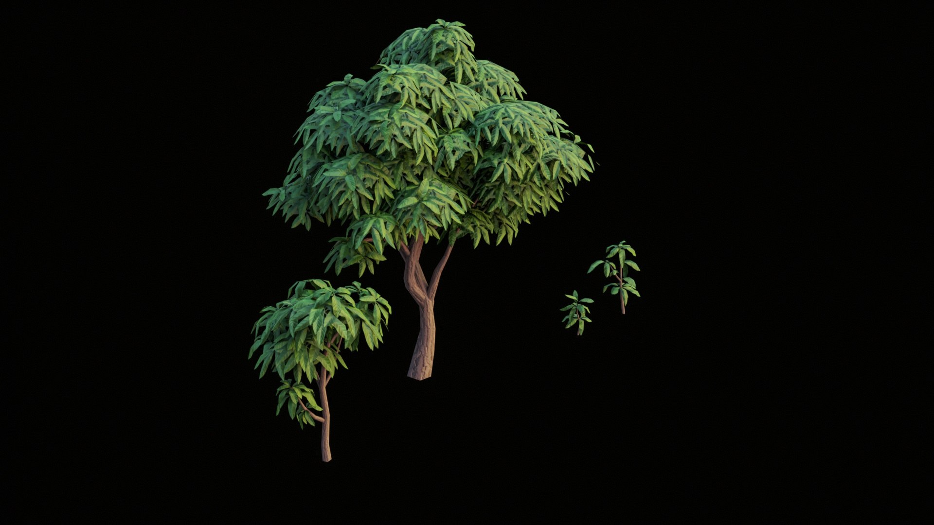 Mango Tree Pack 3D - TurboSquid 2188700