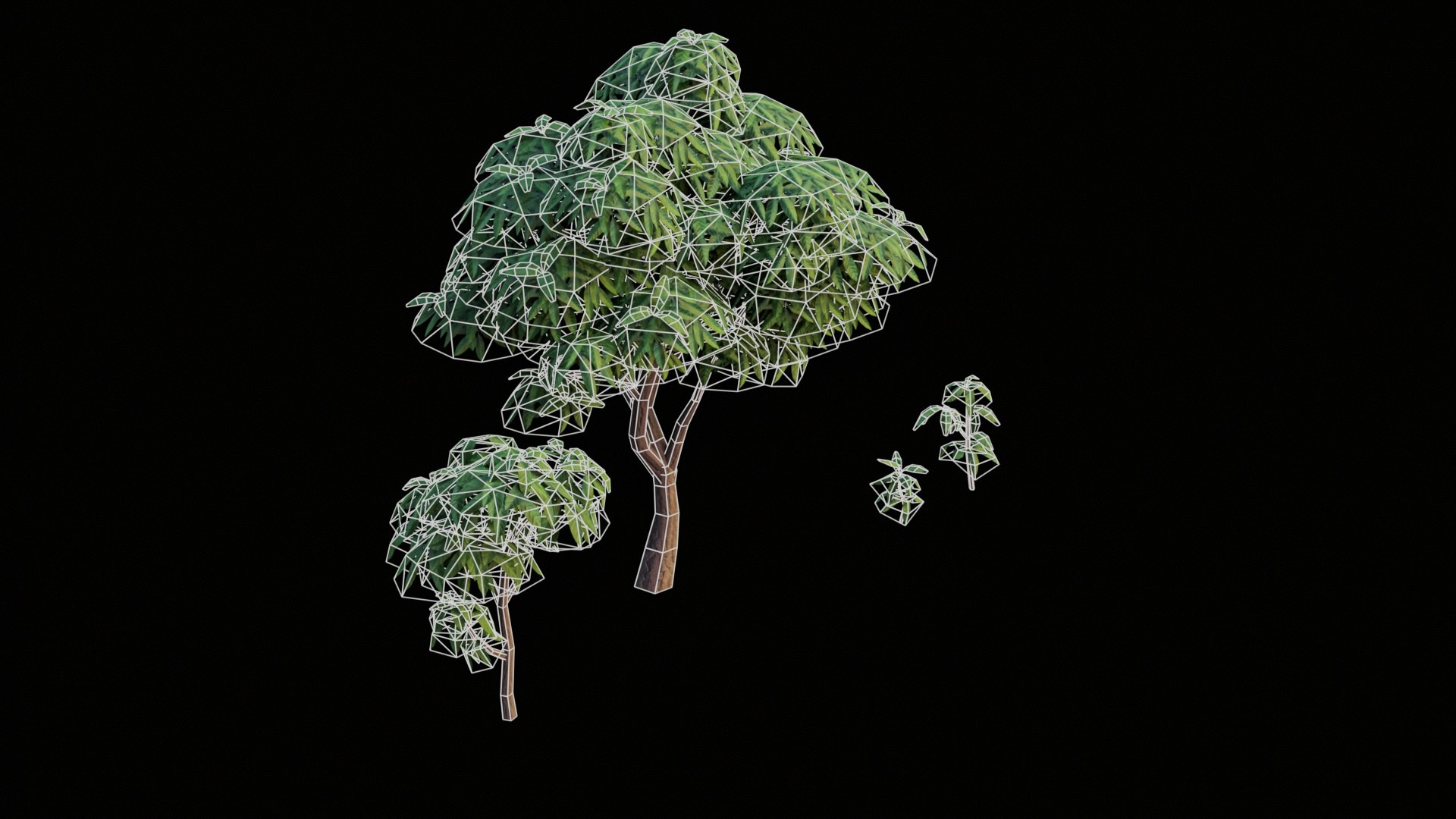 Mango Tree Pack 3D - TurboSquid 2188700