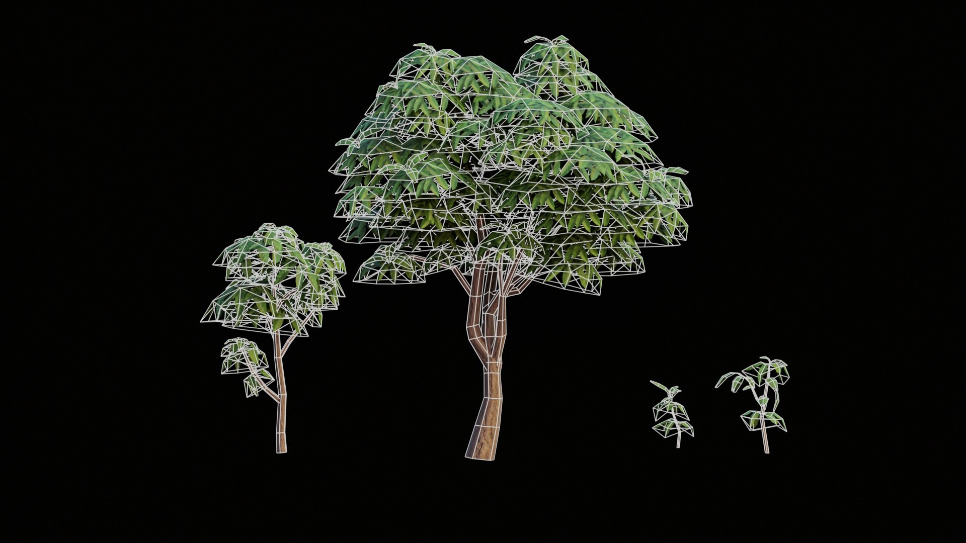 Mango Tree Pack 3D - TurboSquid 2188700