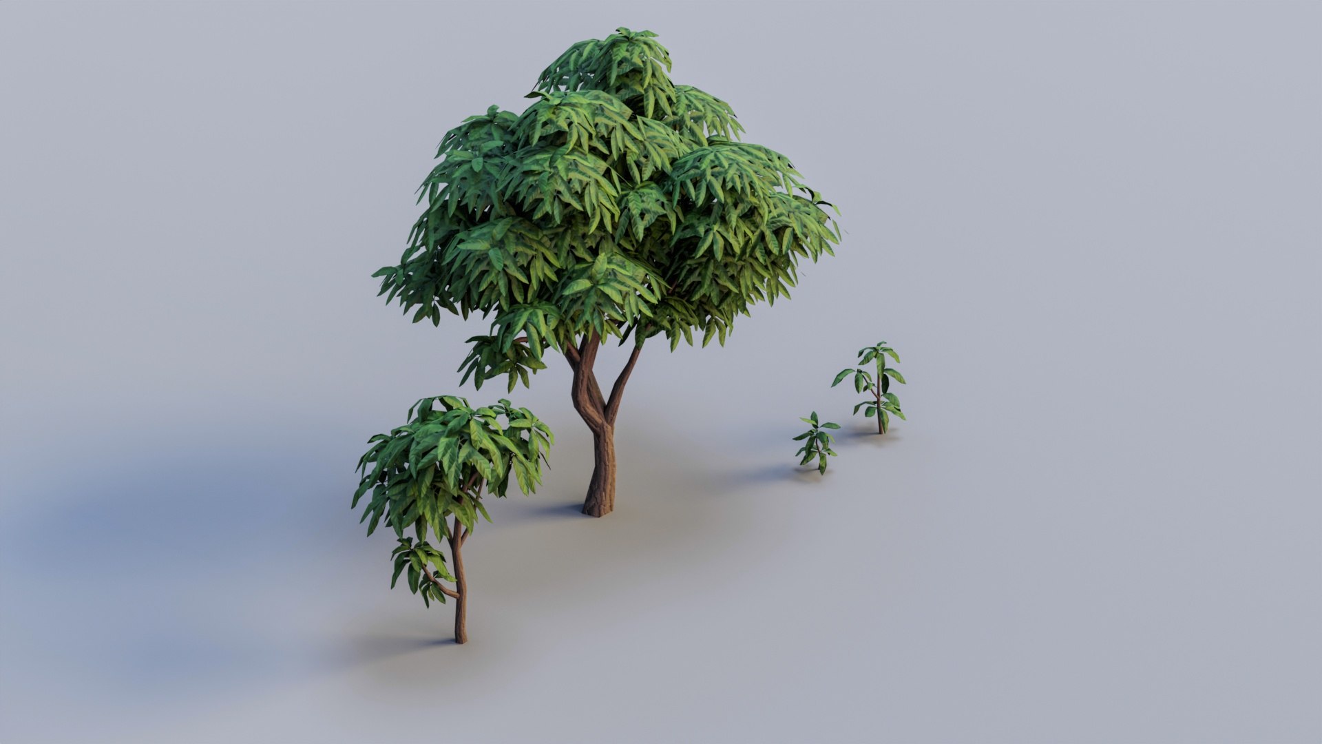 Mango Tree Pack 3D - TurboSquid 2188700