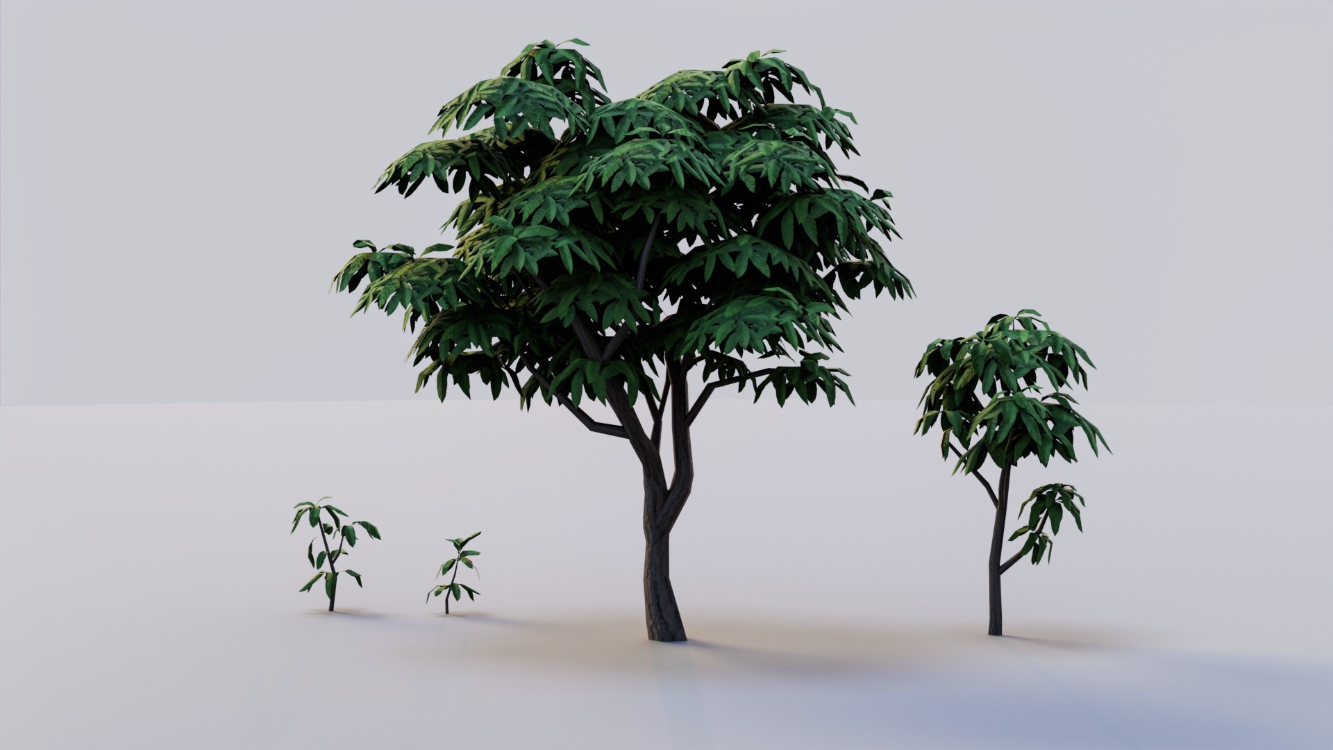 Mango Tree Pack 3D - TurboSquid 2188700
