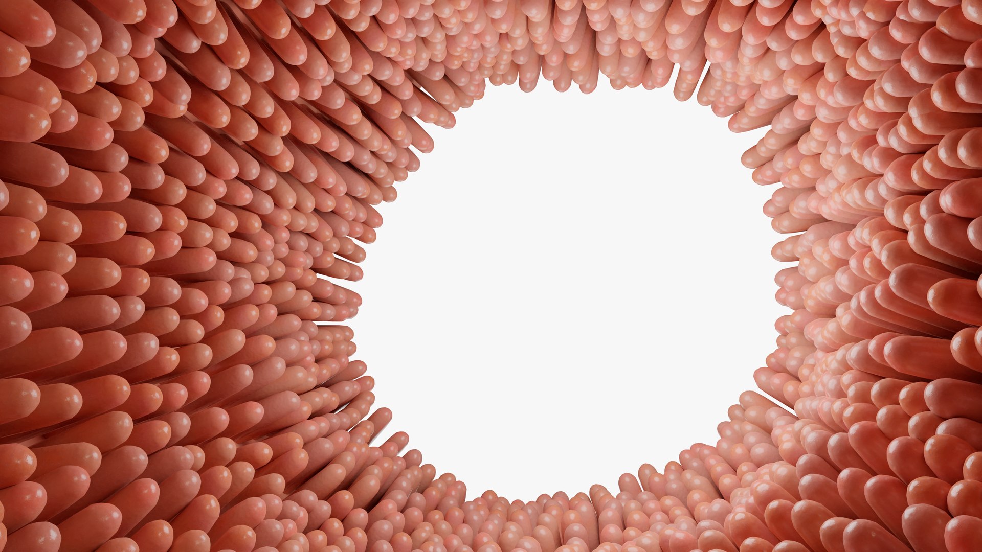 3D Intestinal Villi Model - TurboSquid 1874308