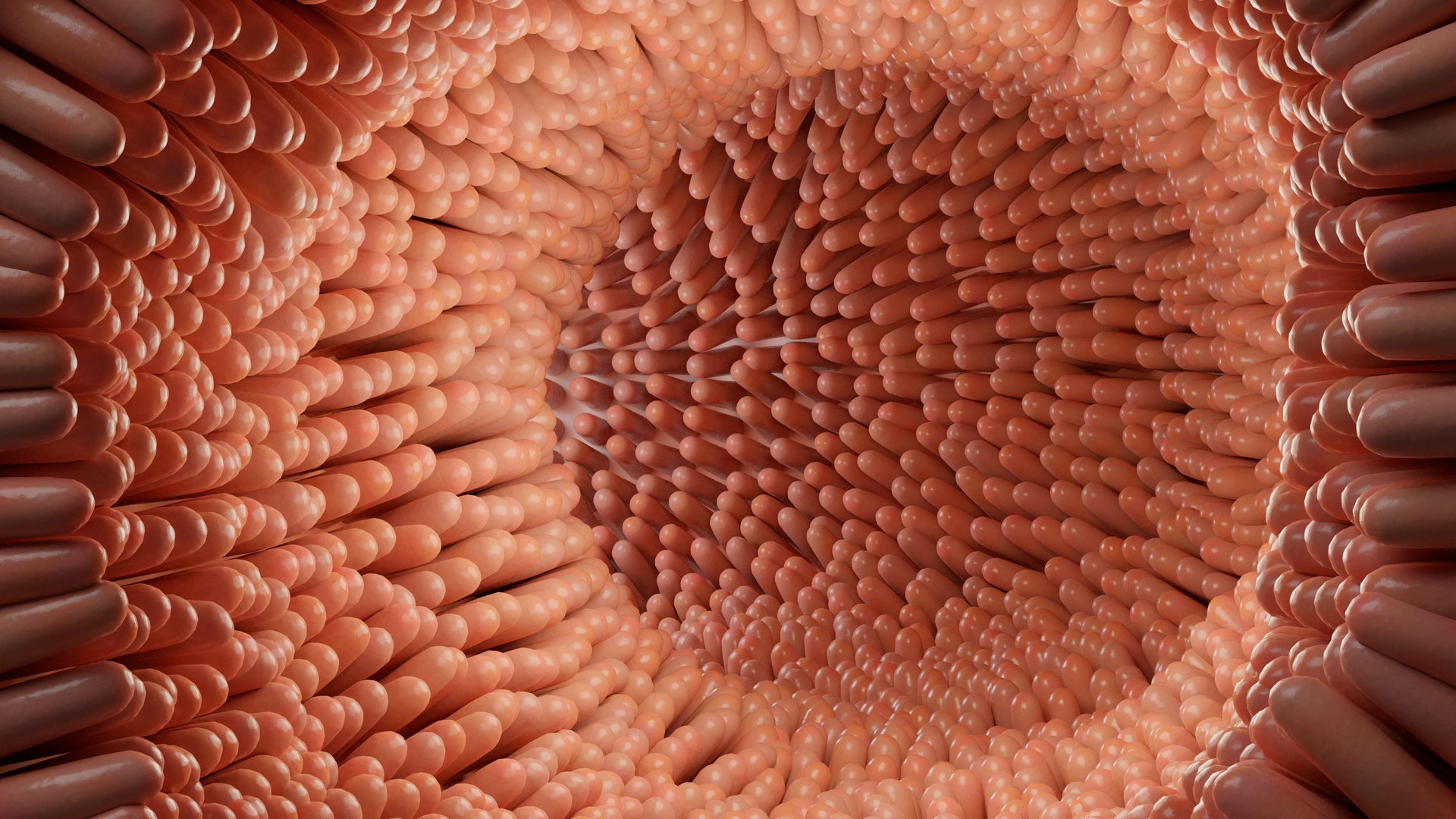 3D Intestinal Villi Model - TurboSquid 1874308