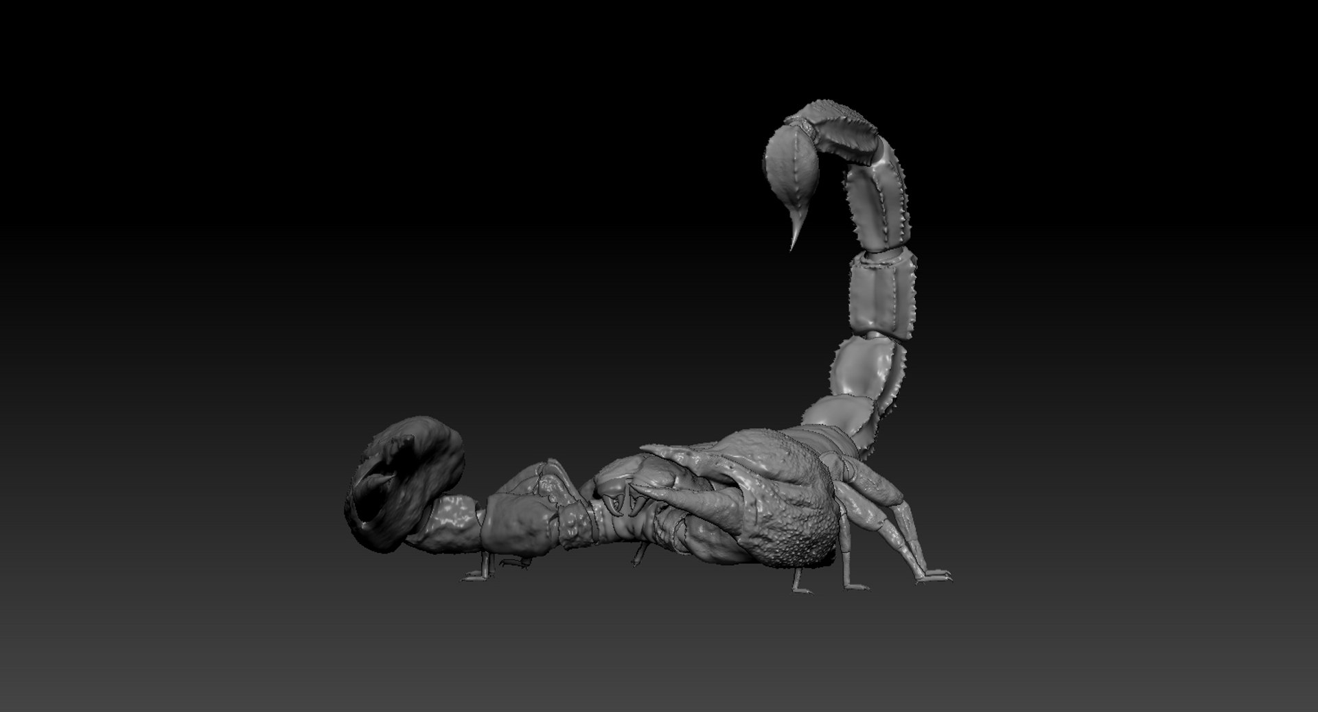 3D Model Scorpion Rigged - TurboSquid 1279883