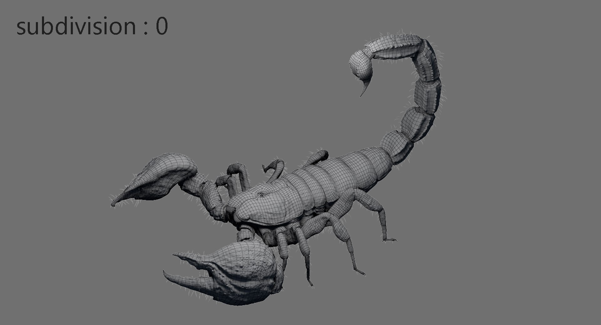 3D Model Scorpion Rigged - TurboSquid 1279883