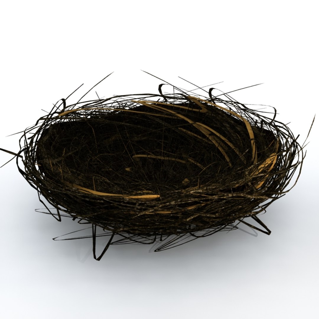 3d Bird Nest