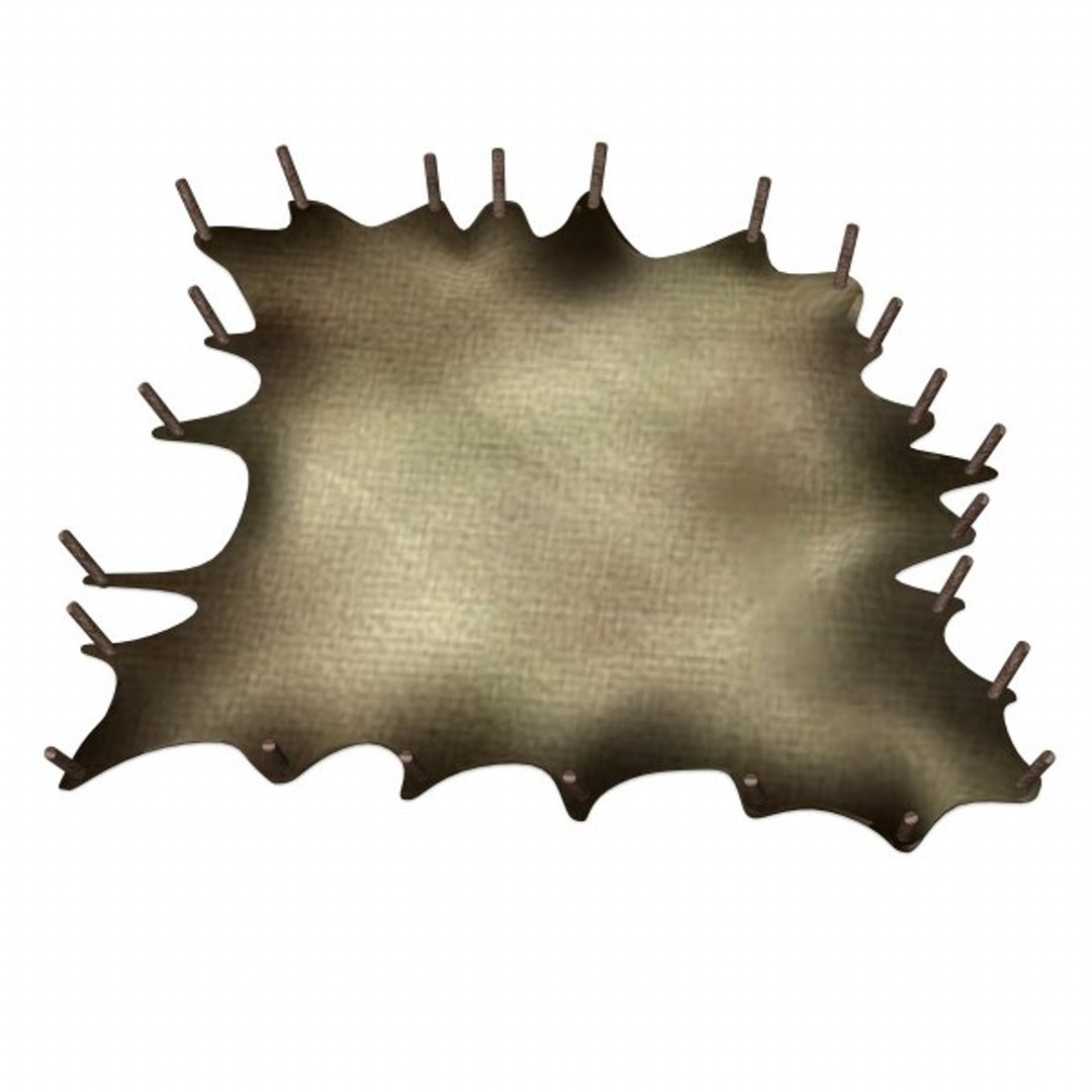 bear skin bearskin 3d lwo