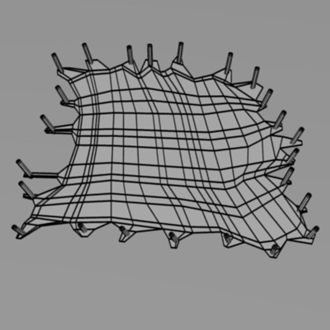 Bear Skin Bearskin 3d Lwo