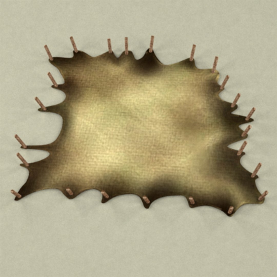 Bear Skin Bearskin 3d Lwo