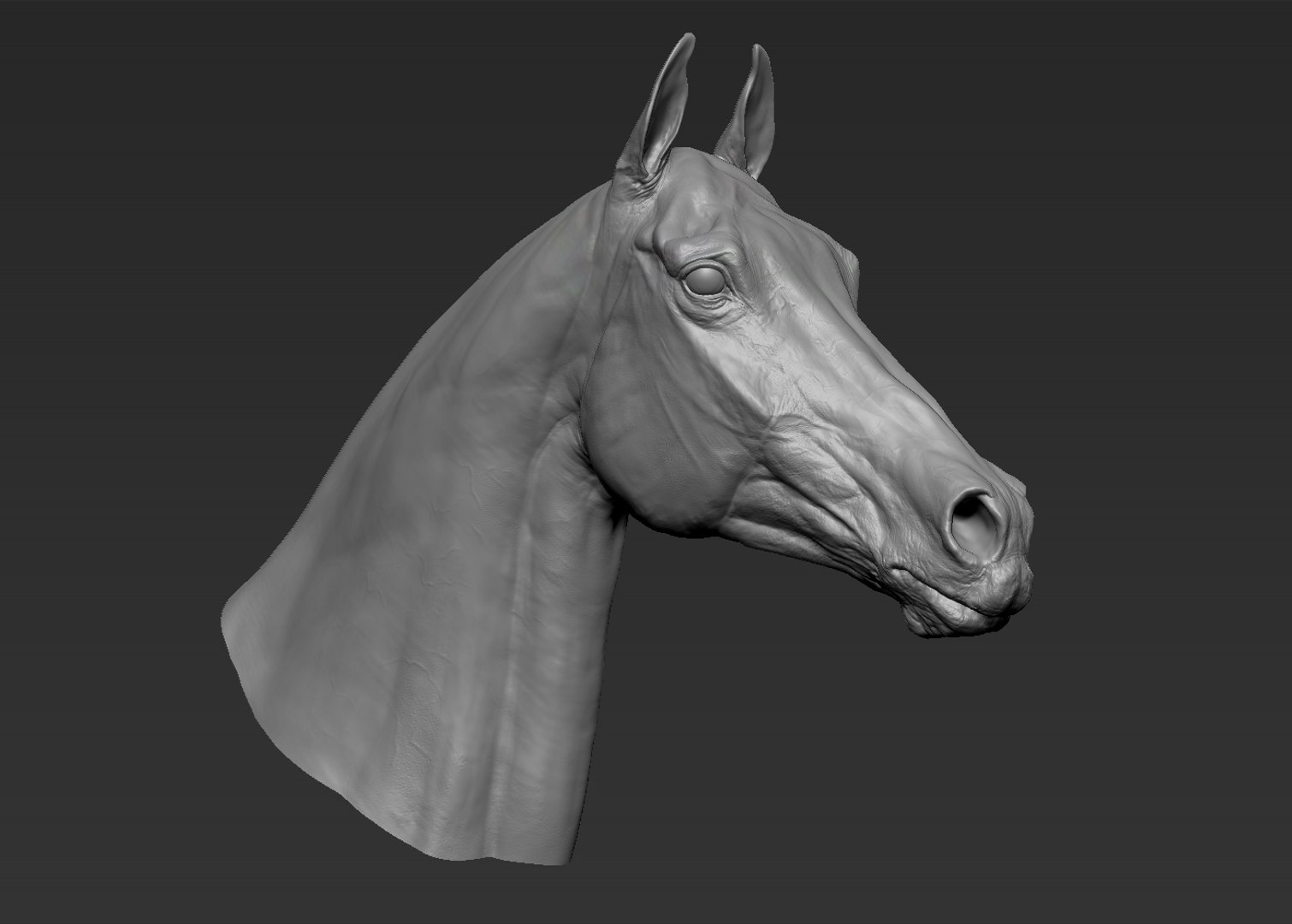 3D Horse Head Realistic - TurboSquid 1379389