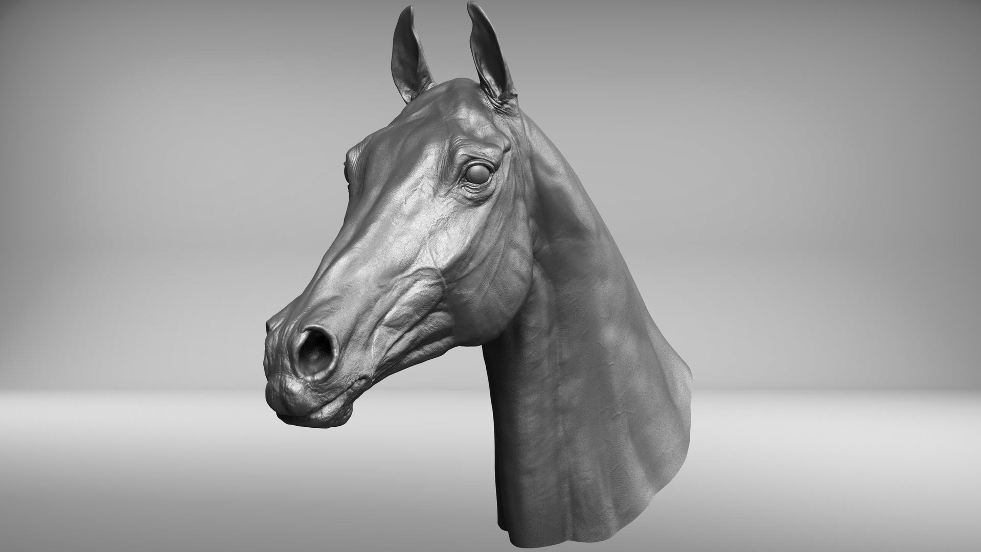 3D Horse Head Realistic - TurboSquid 1379389