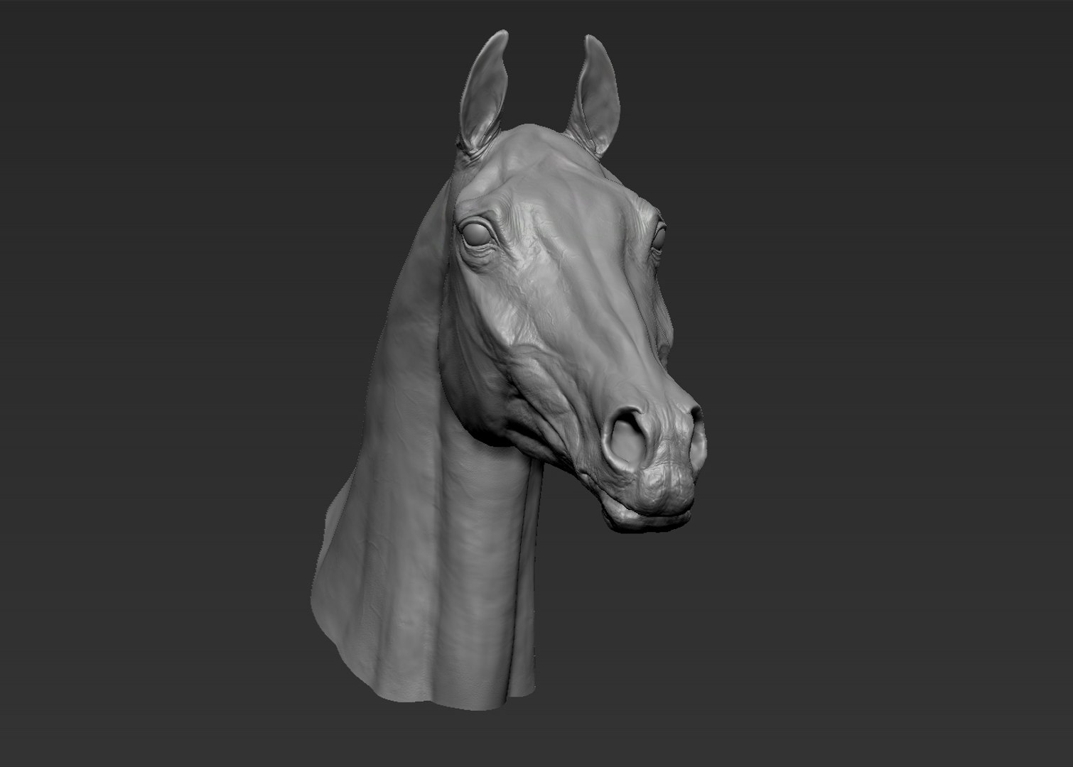 3D Horse Head Realistic - TurboSquid 1379389