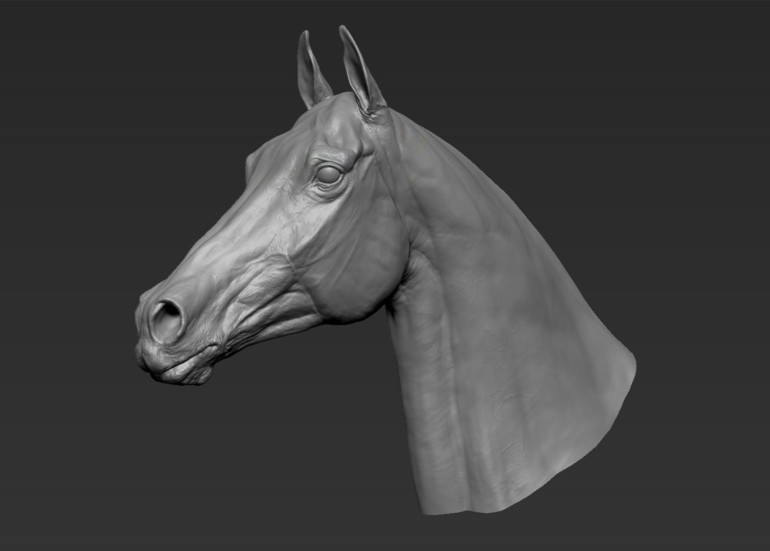 3D horse head realistic - TurboSquid 1379389